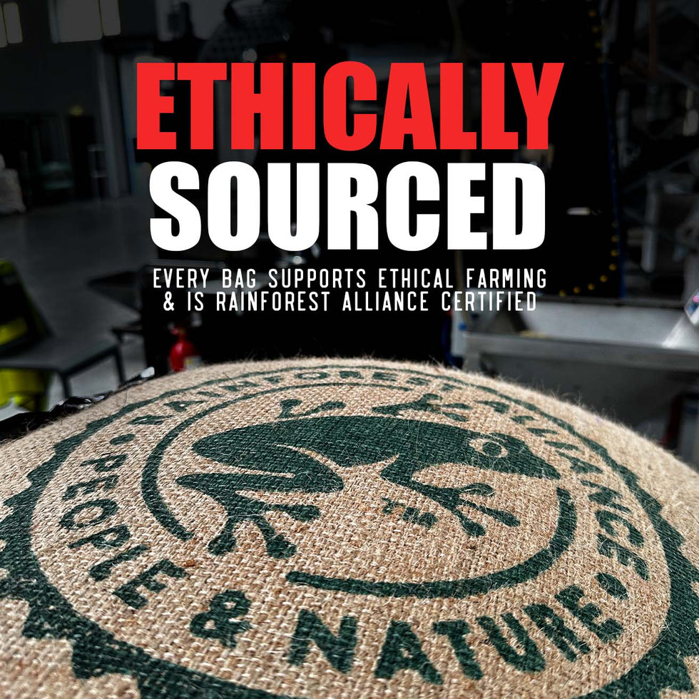Skull Crusher Coffee - High Caffeine Coffee - 500g
